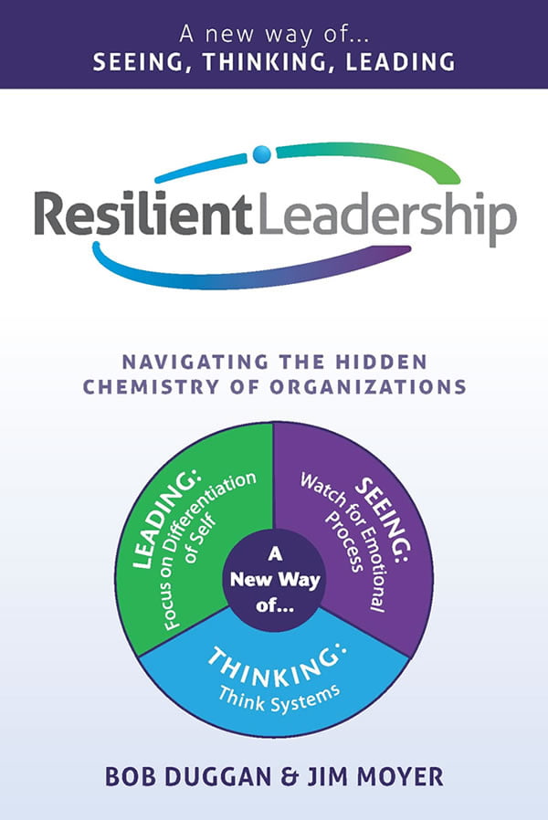 Resilient Leadership Development | Client driven leadership training ...